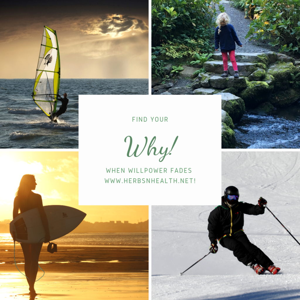 Seventh week - find your why! And succeed!! by Herbsnhealth